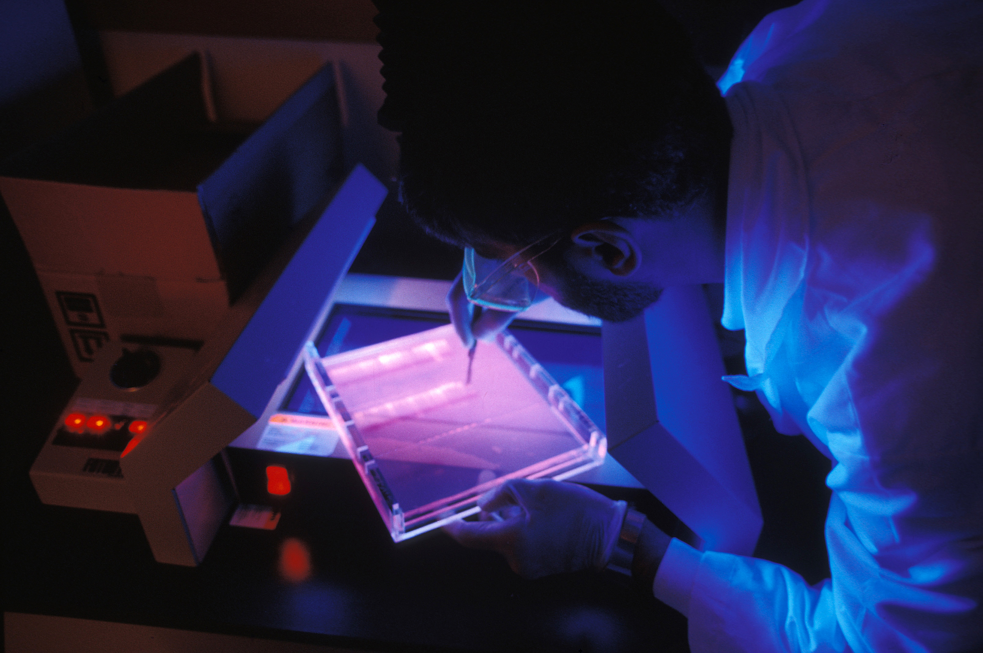 Bioseed partners with IRRI on biotechnology research and hybrid rice ...