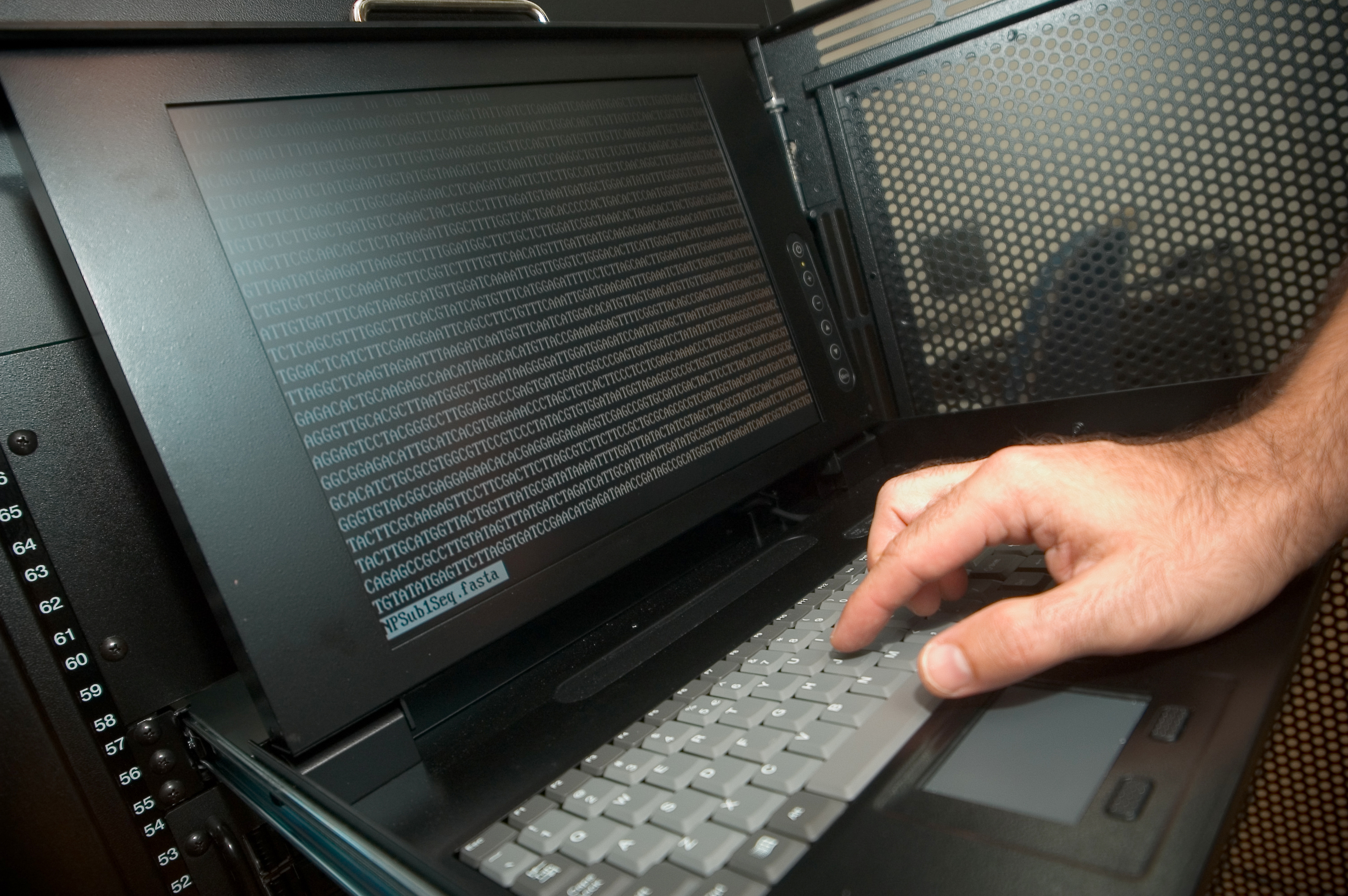 IRRI collaborates with Computomics to develop new and better rice ...