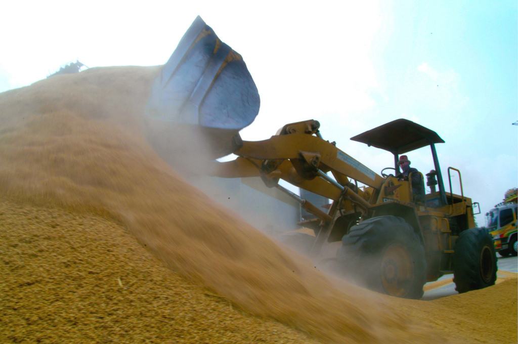 Helping Vietnam transform its rice sector through sustainable rice ...