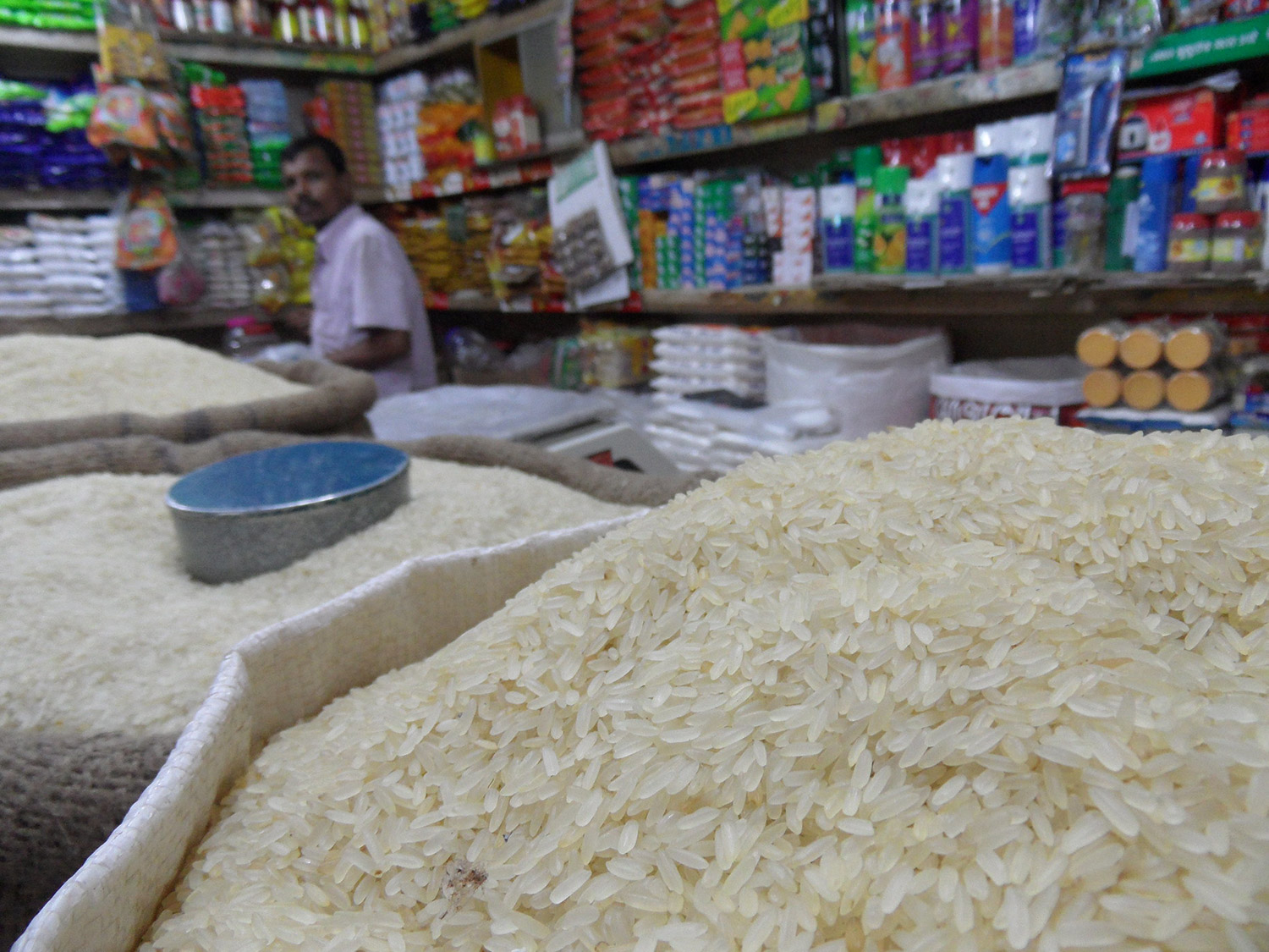 IRRI answers UN’s call for more sustainable food systems ...