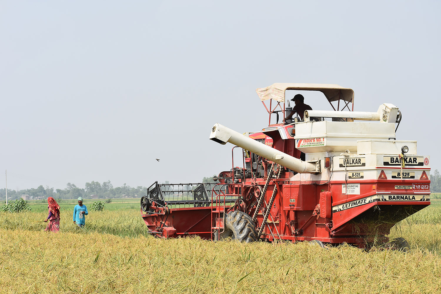 ADB-IRRI eye increased investments for sustainable agriculture ...