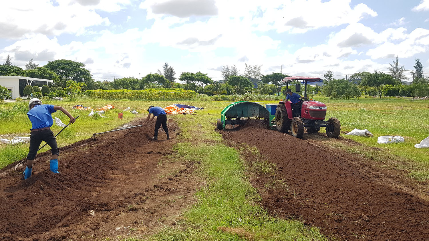 CORRA webinar shares opportunities in sustainable rice straw management ...