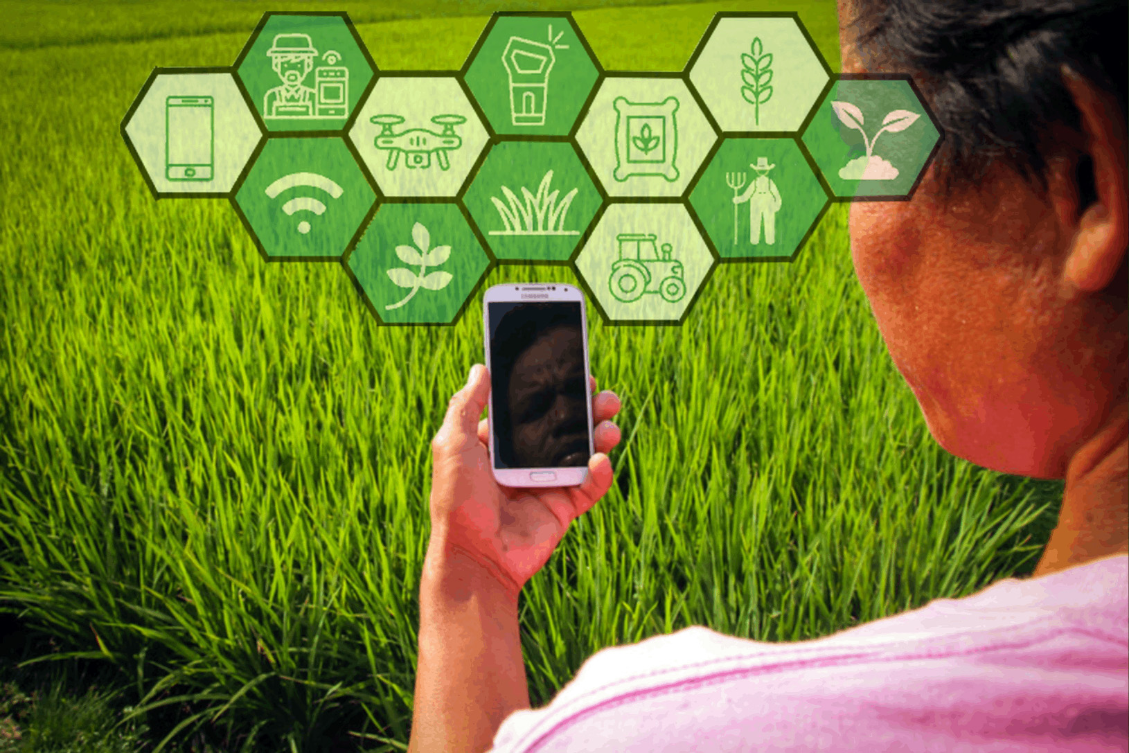 DA-BAR and IRRI launch online platform for PH digital ag tools | International Rice Research ...