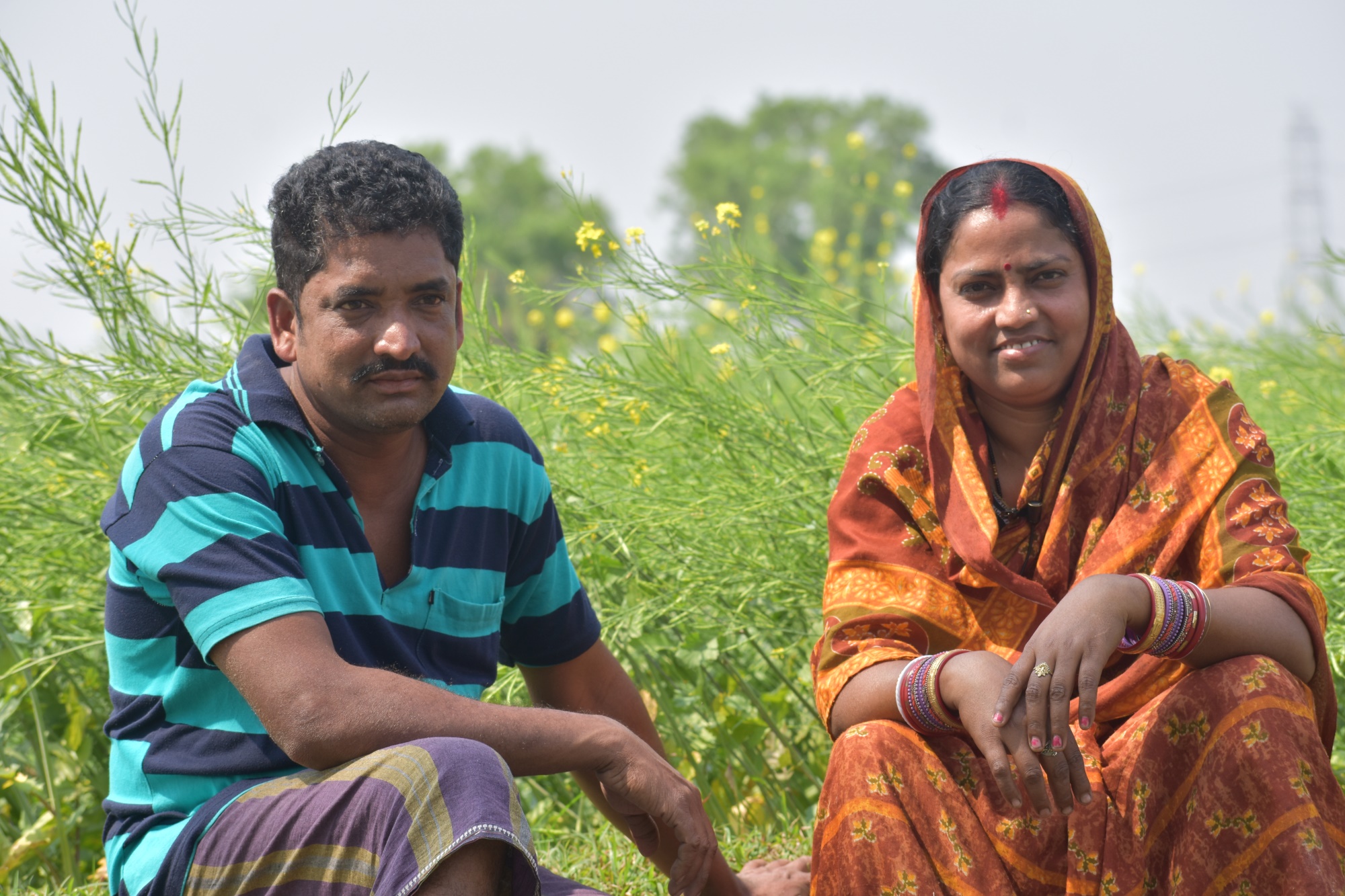 Scaling rice-mustard system in Odisha’s rice fallows for better system ...