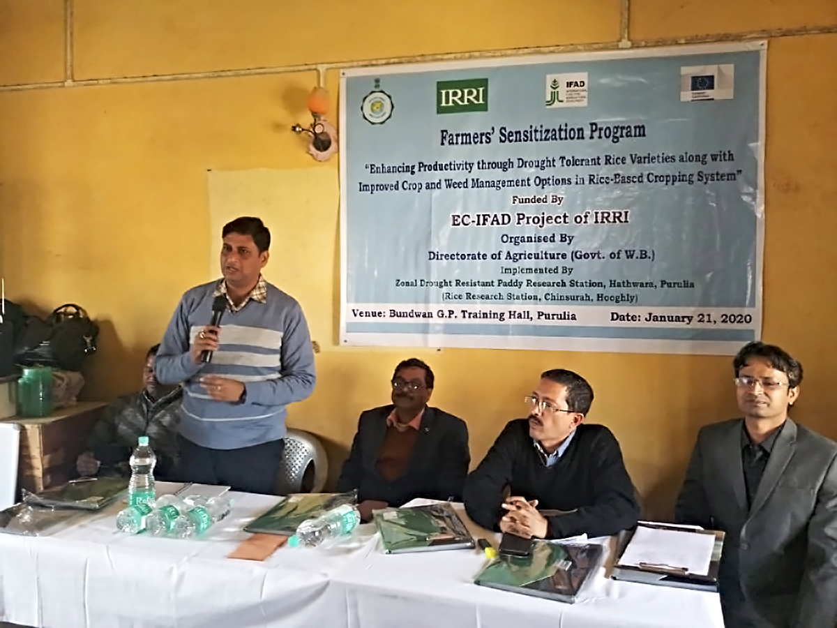 Climate-smart, Drought-tolerant rice varieties for improved crop ...