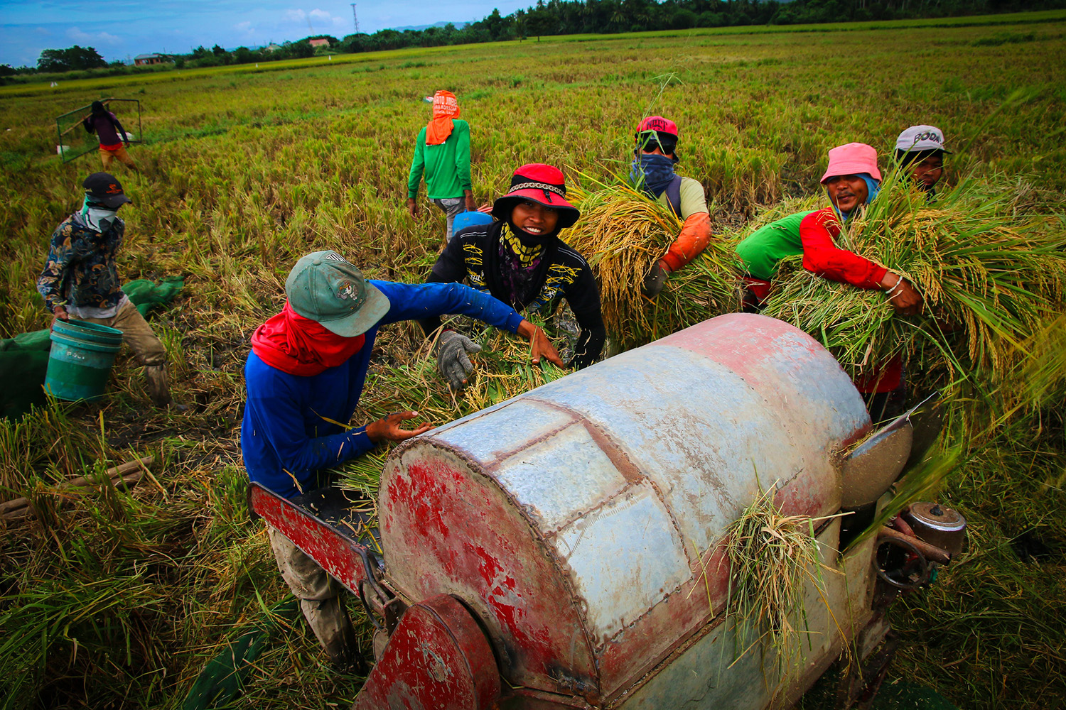 How can Southeast Asia stay as a major rice exporter? | International ...