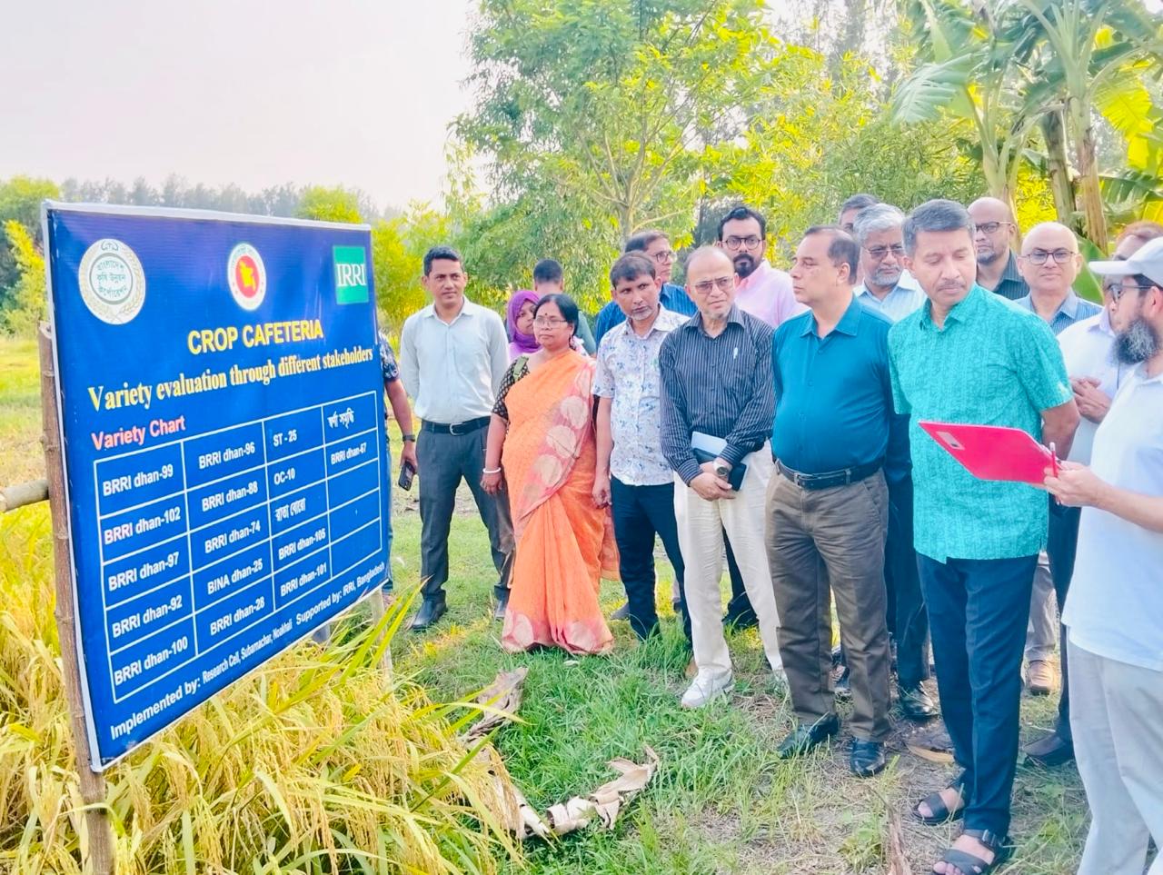 IRRI and BADC organize crop cafeteria field day to evaluate suitability ...