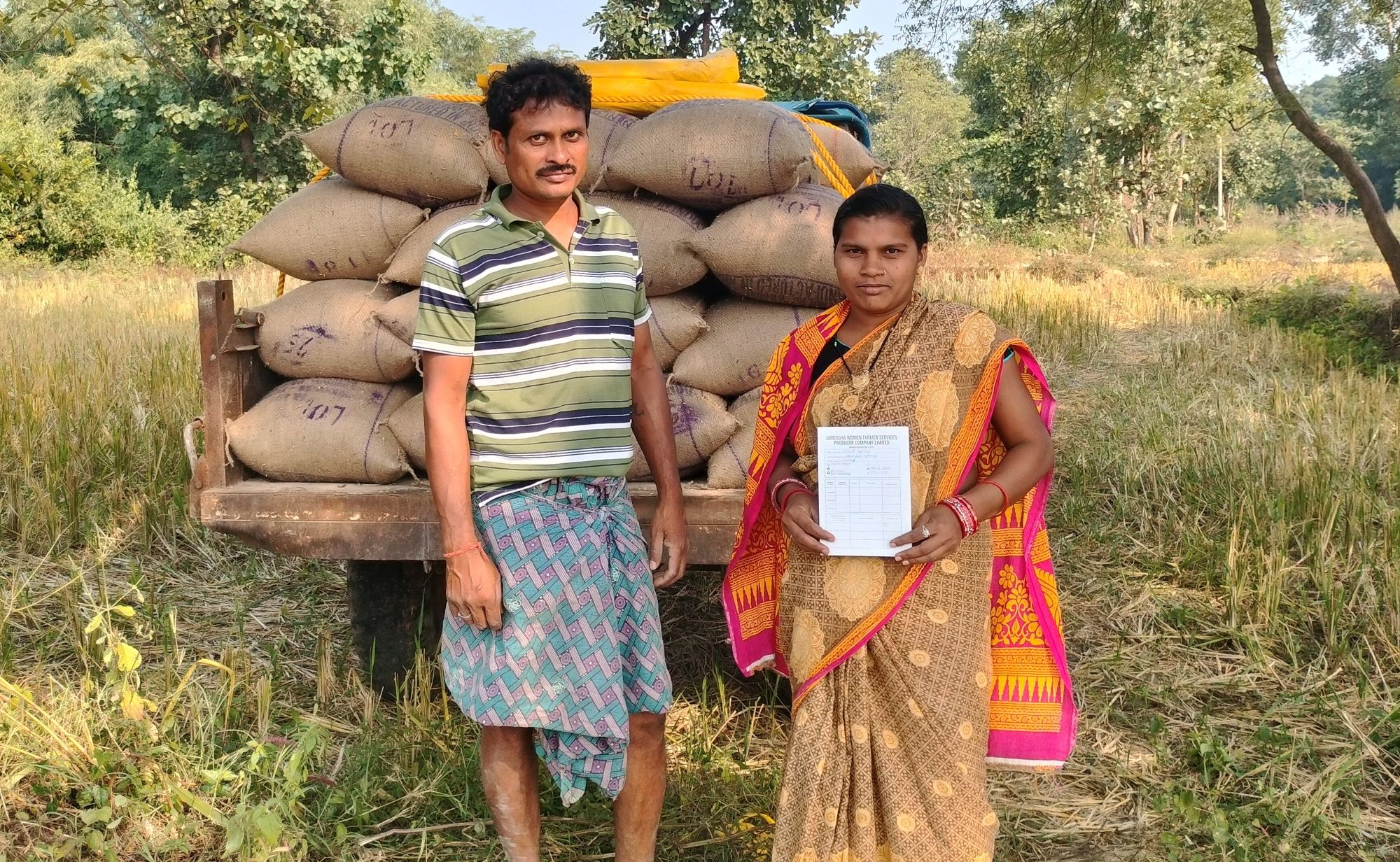 Beyond incomes: What is the true impact of engaging in seed production ...