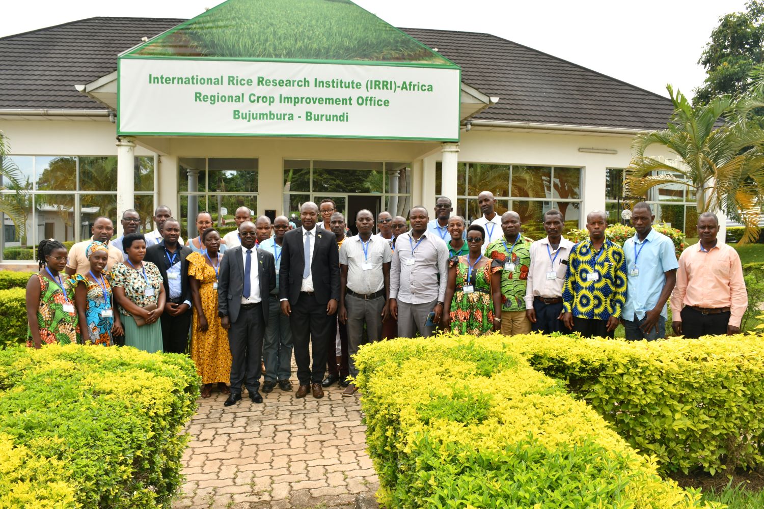IRRI-Africa completes training of trainers on quality rice seeds ...
