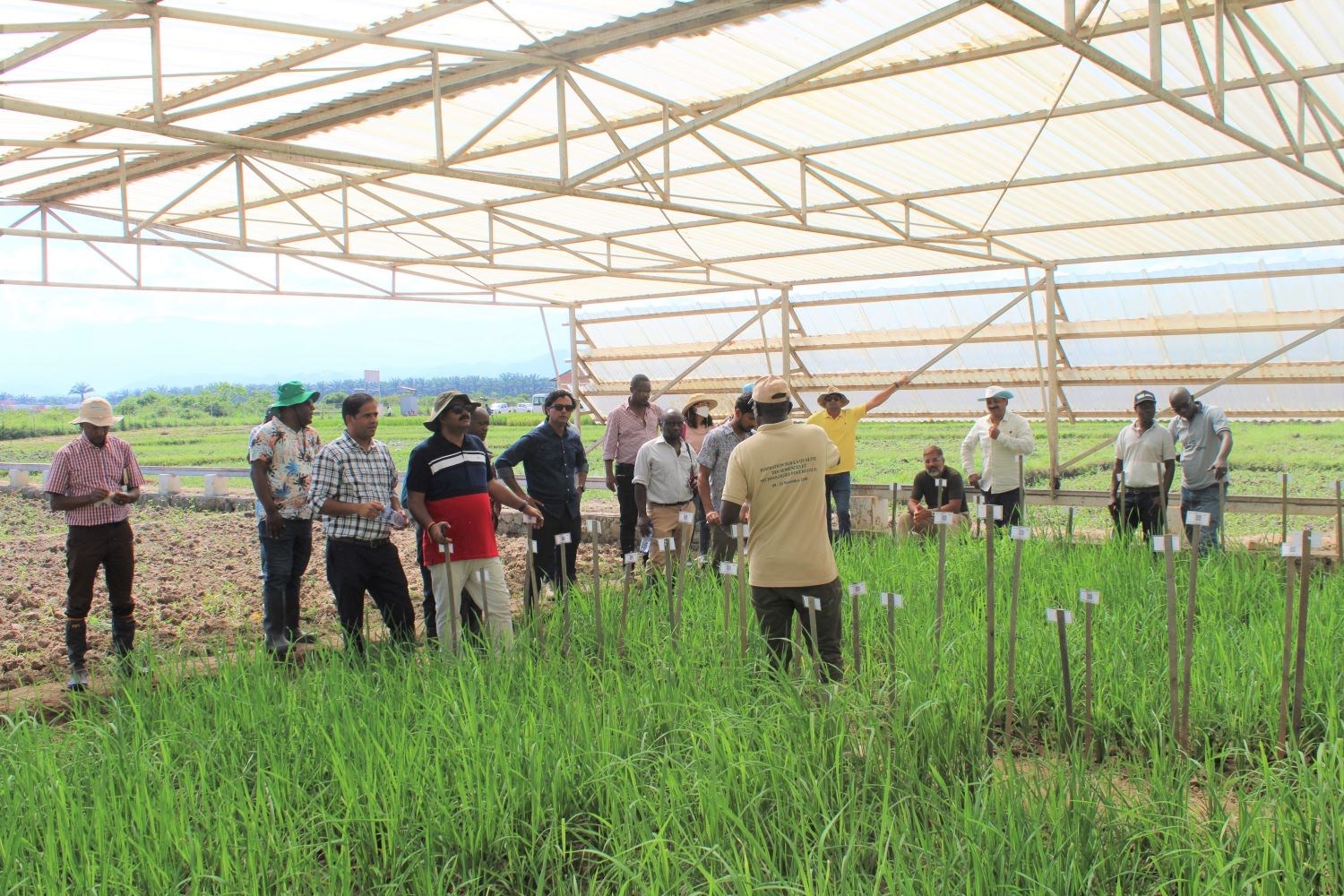 IRRI-Africa crop tour strengthens collaborative efforts for ...
