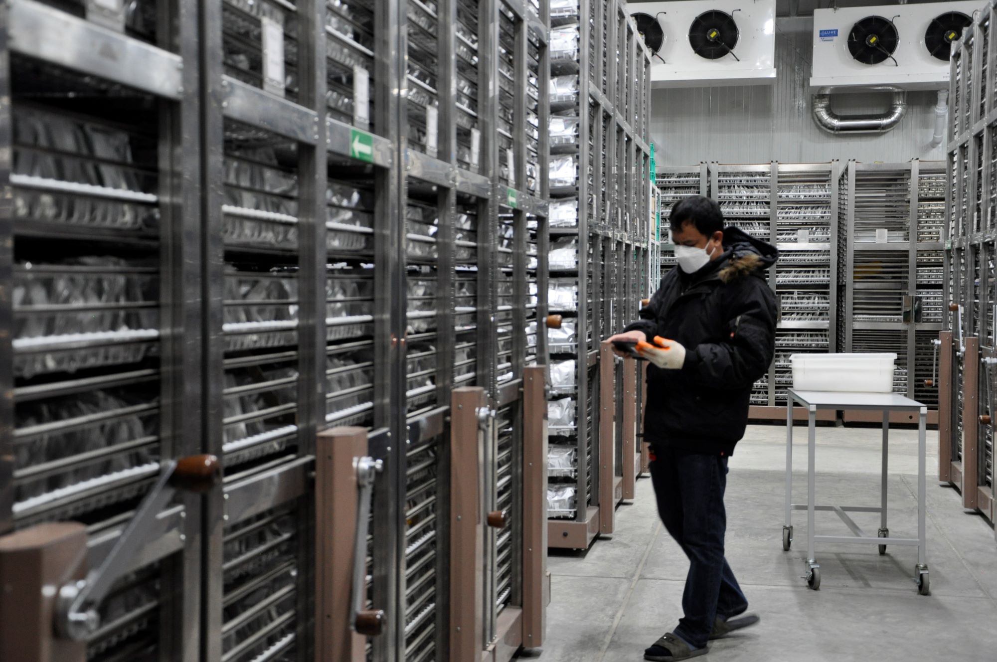 IRRI receives Google support to apply AI for climate resilient rice ...