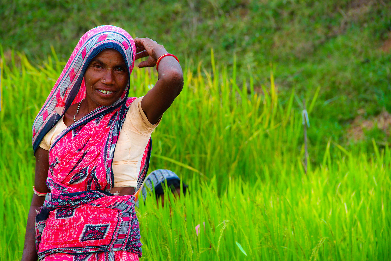 IRRI and Bayer collaborate to provide tailored agronomic information to ...