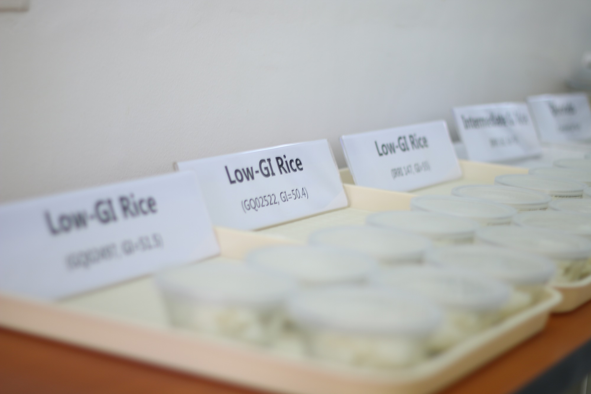 Low GI rice seen as promising solution to mitigate Asia’s diabetes ...