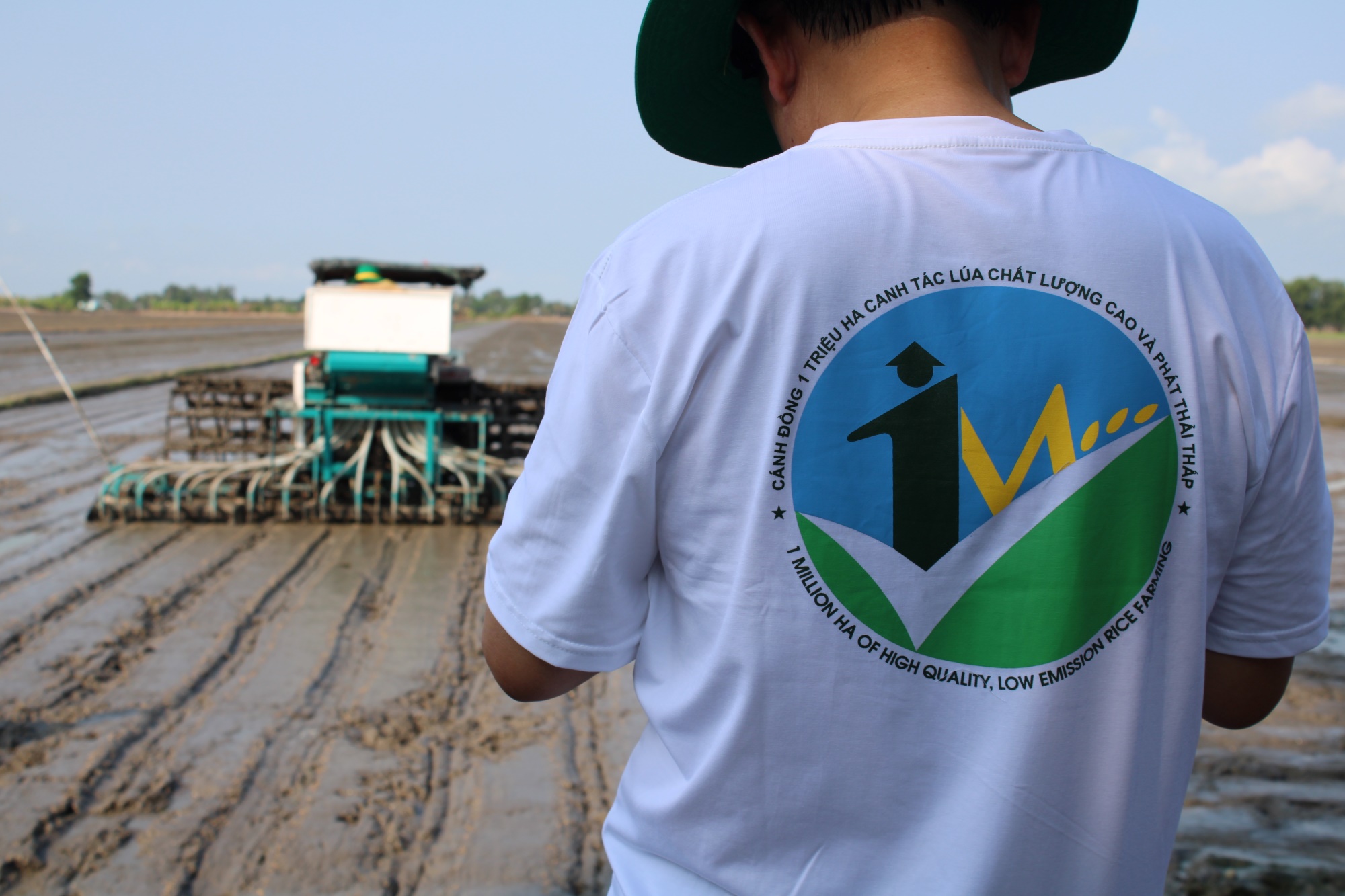 MARD, Can Tho City, and IRRI launch model farms for sustainable rice ...