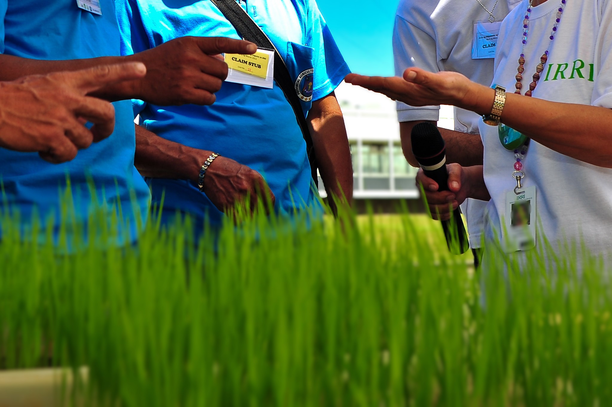 New framework on agricultural knowledge management for innovation ...