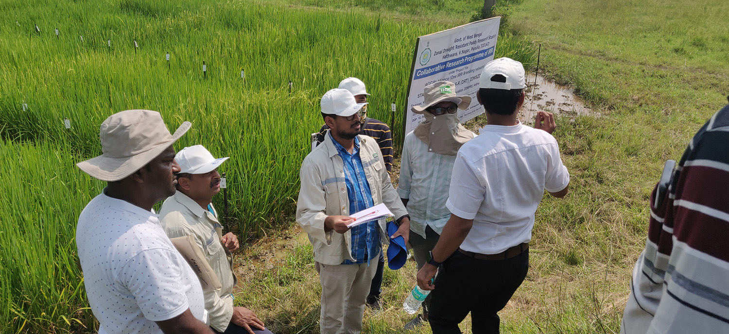 One Rice Breeding Network and Crop Tour 2022 in India create a unified ...