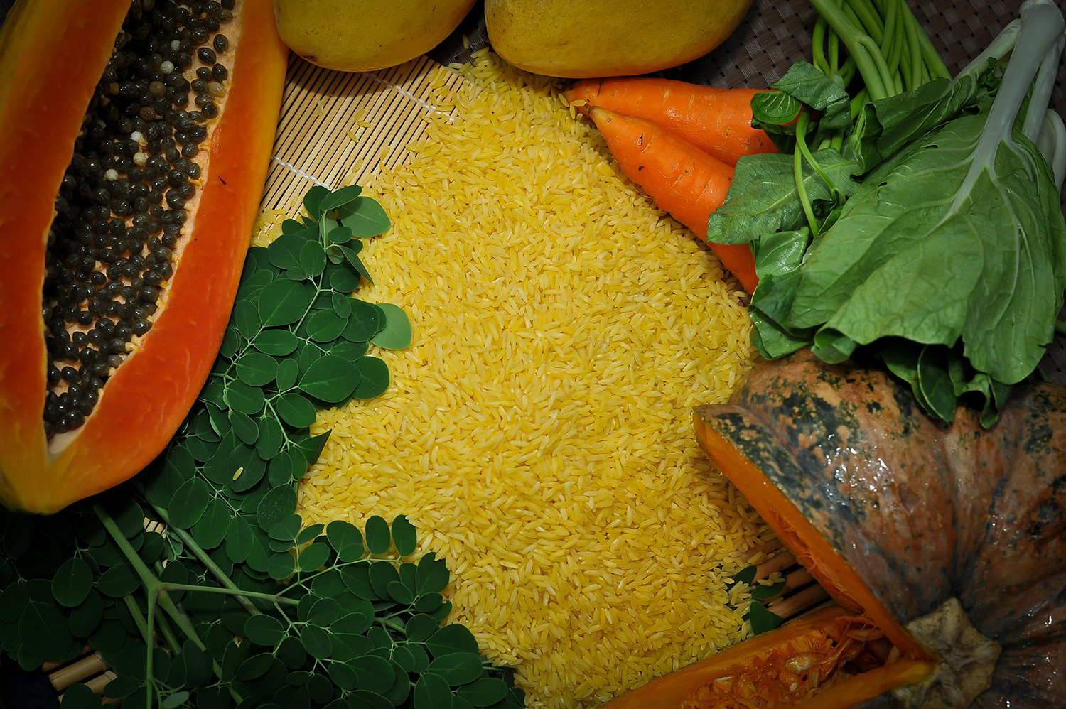 Philippines approves Golden Rice for direct use as food and feed, or ...