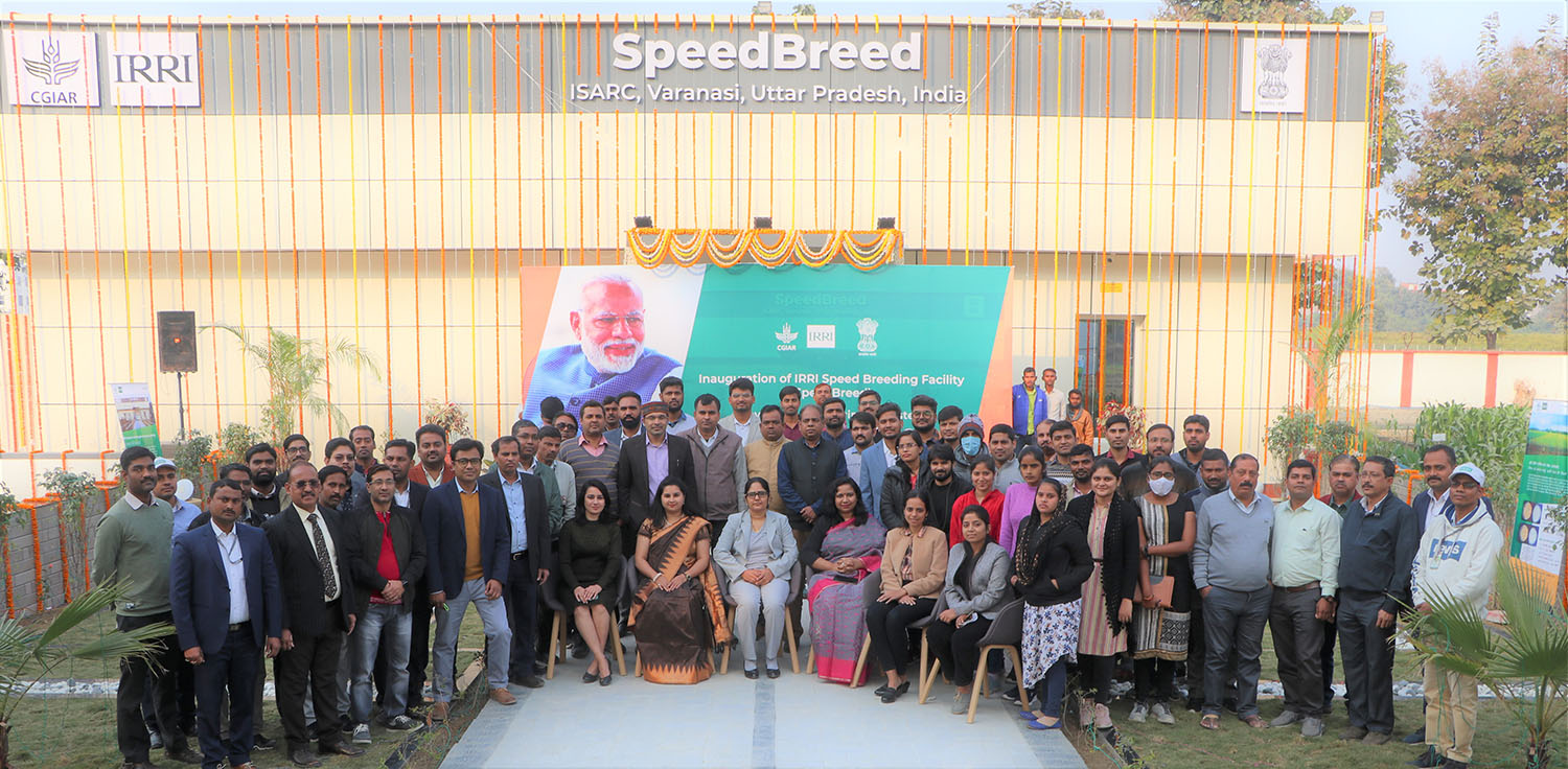 Prime Minister Narendra Modi inaugurates IRRI’s newly built Speed ...