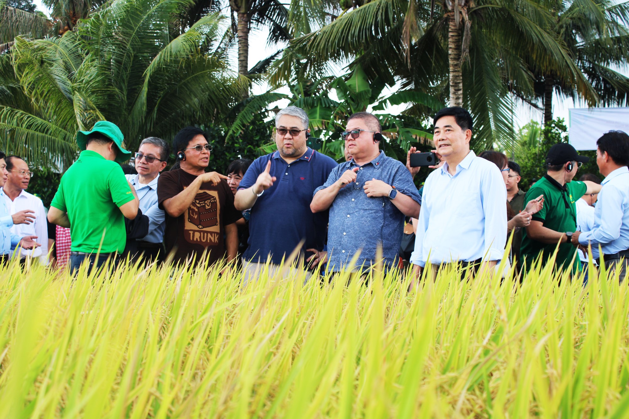 Vietnam's pilot low-emission rice farming shows promise: Increased ...