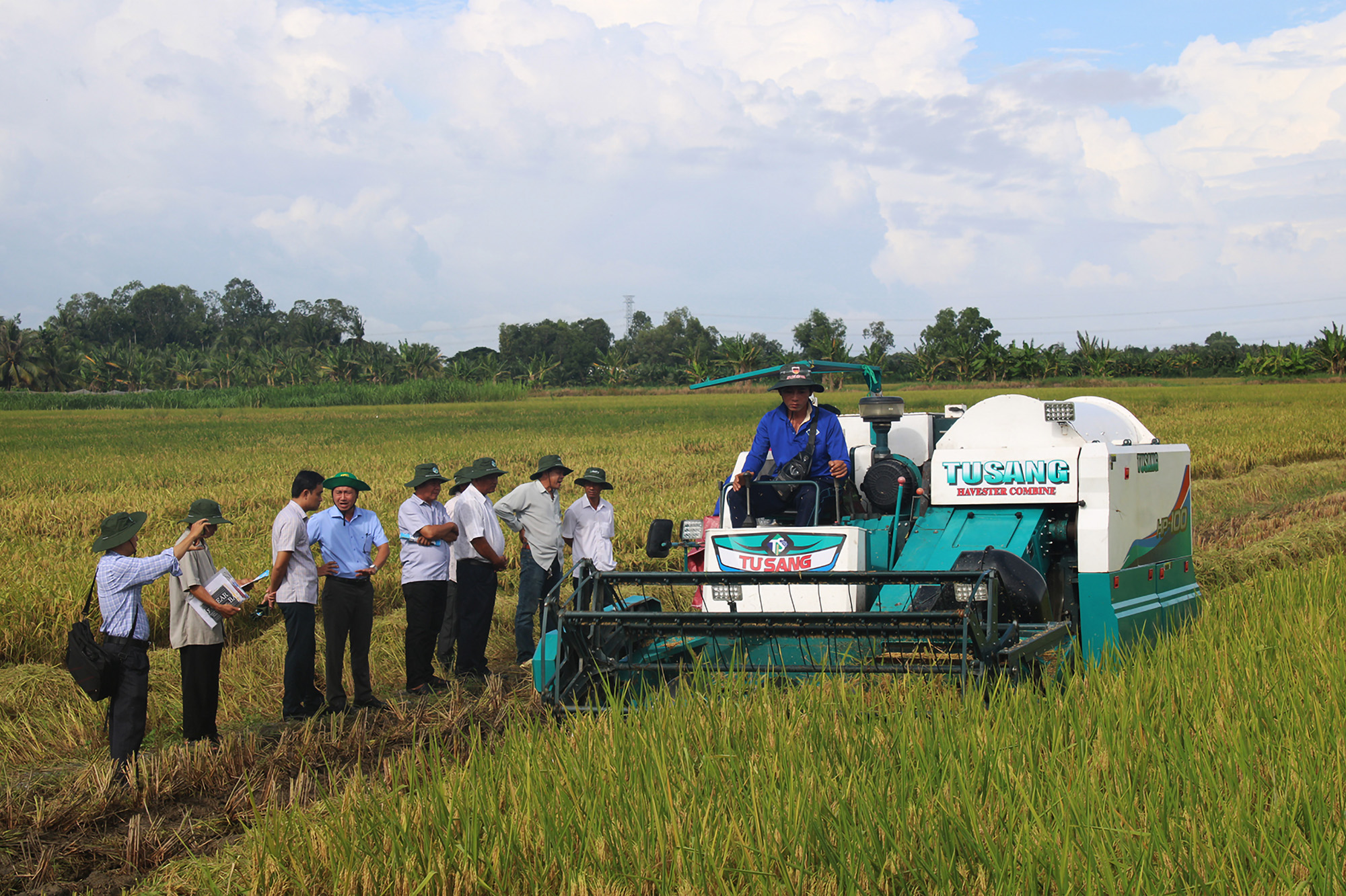 Vietnam’s 1-Million Hectare Rice Program shows promising results ...