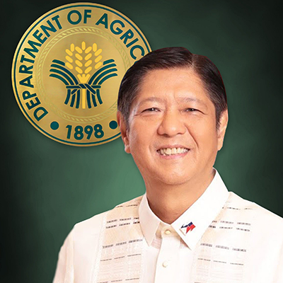 His Excellency President Ferdinand Marcos, Jr. | International Rice ...