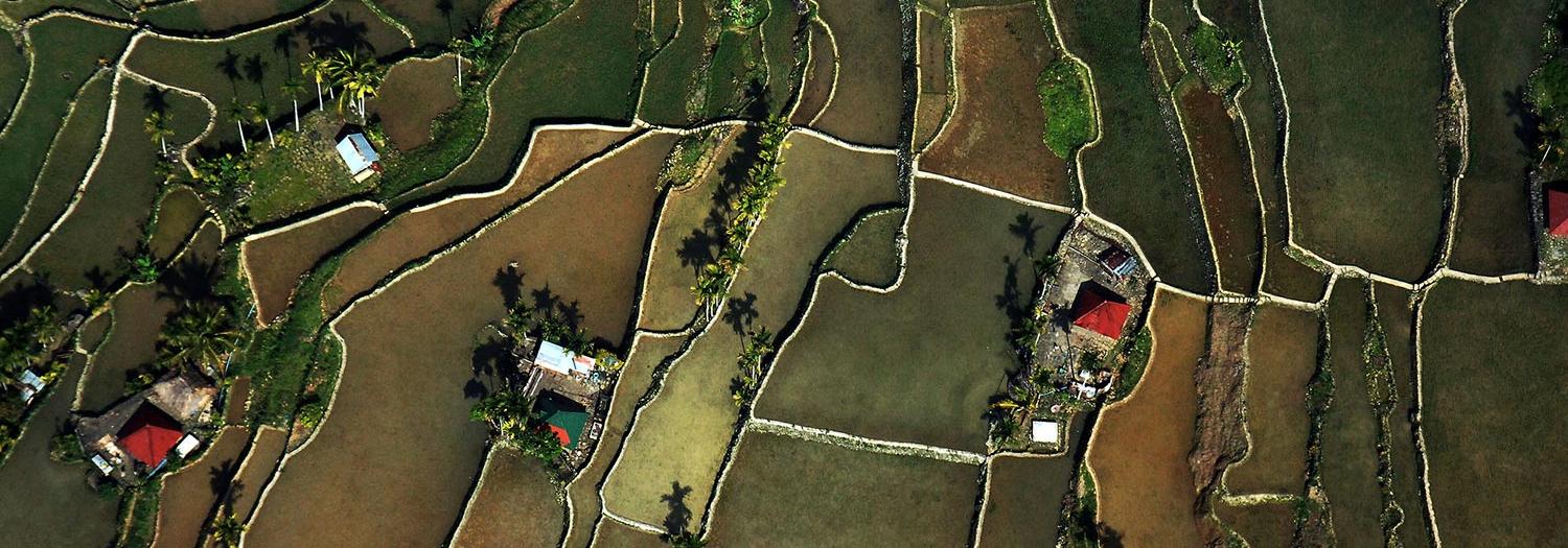 Agriculture Department and IRRI set the Philippine rice research ...