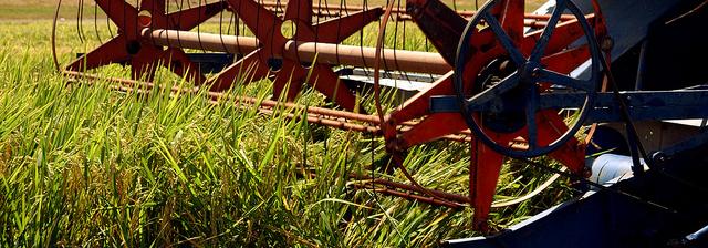 Increasing farmers’ income through post-harvest technologies and value ...