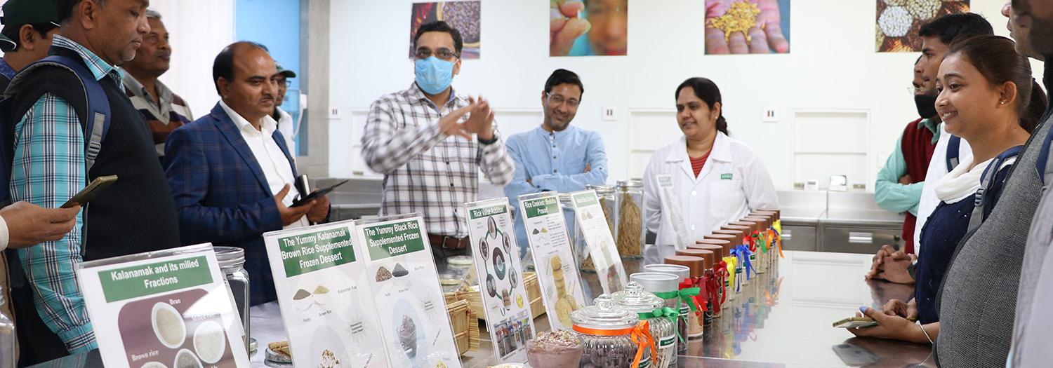 International Rice Research Institute