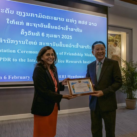 International Rice Research Institute